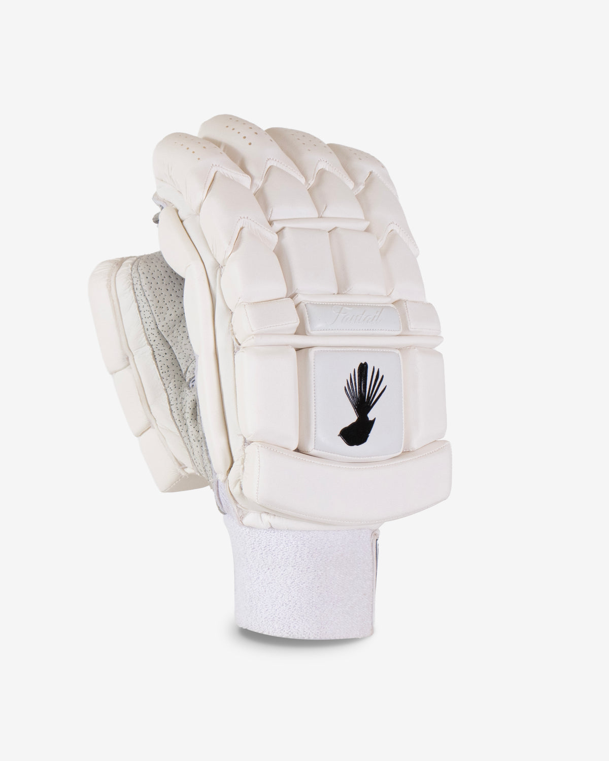 Official Online Cricket Store | Fantail Cricket